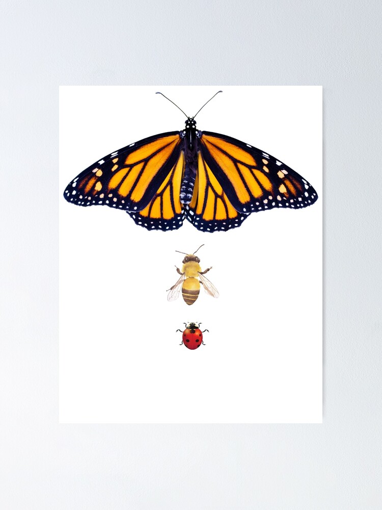 "Butterfly Bee Ladybug" Poster for Sale by paisleythermond | Redbubble