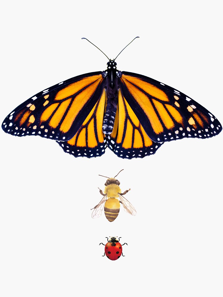 "Butterfly Bee Ladybug" Sticker for Sale by paisleythermond | Redbubble