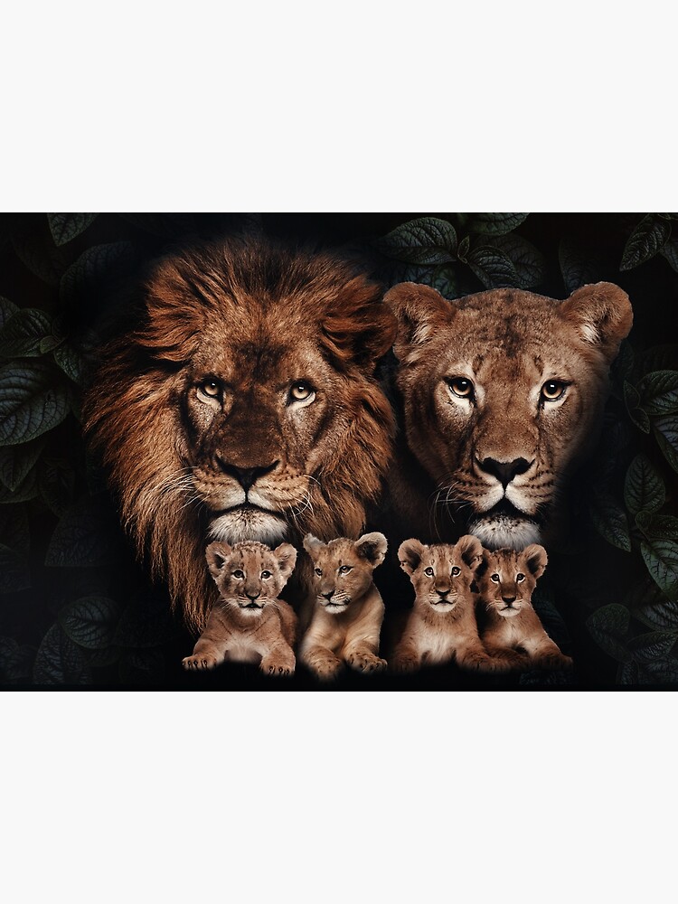 "Lion family with four cubs" Photographic Print for Sale by h-special ...