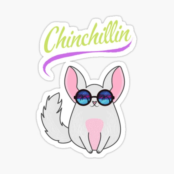 "Cute Chinchillin " Sticker for Sale by FankKyrue | Redbubble