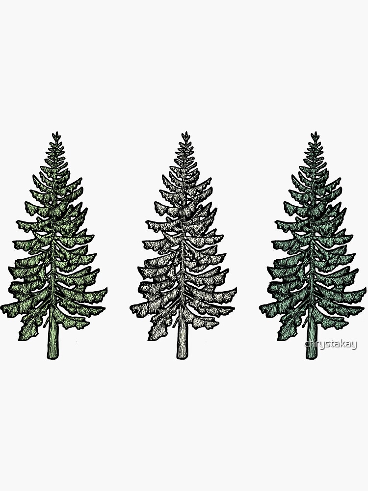 "Cedar Tree || Nature Illustration" Sticker by chrystakay | Redbubble