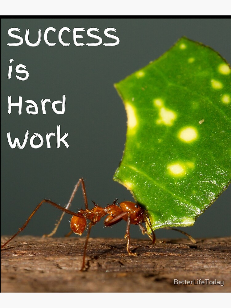 "SUCCESS Is Hard Work" Poster for Sale by BetterLifeToday | Redbubble