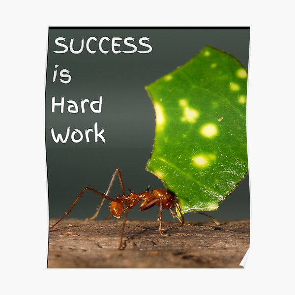 "SUCCESS Is Hard Work" Poster for Sale by BetterLifeToday | Redbubble