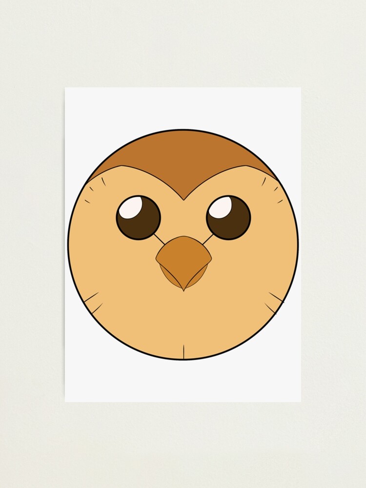 "Hooty (The Owl House)- Limited Edition | Perfect Gift" Photographic ...