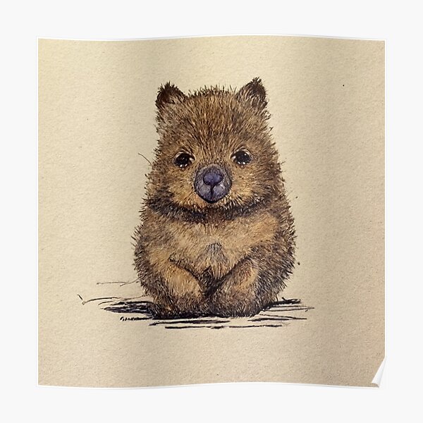 "Cute Baby Quokka" Poster for Sale by ShirtifyOk | Redbubble