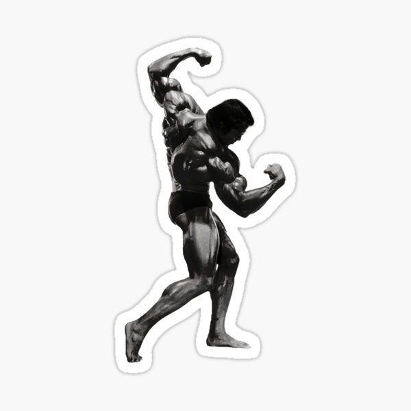 "Arnold Schwarzenegger Pose" Sticker for Sale by ruwqei | Redbubble