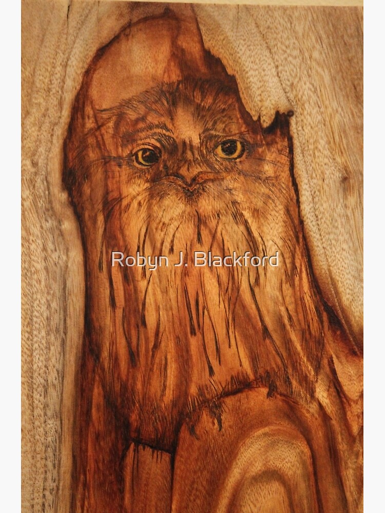 "PYROGRAPHY: Mopoke" Poster by aussiebushstick | Redbubble