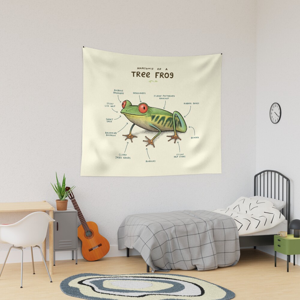 "Anatomy of a Tree Frog" Poster for Sale by SophieCorrigan | Redbubble