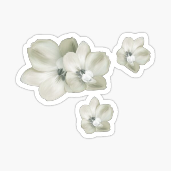 "Jasmine flower" Sticker for Sale by Anemone98 | Redbubble