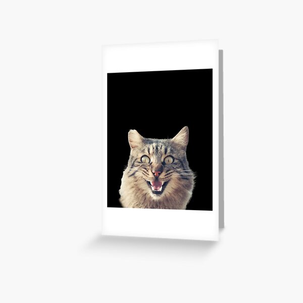 "Funny cute cat. Cat face expression. Cat face meme" Greeting Card for ...