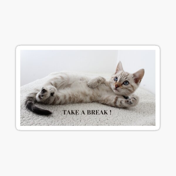 "Cat Cute Break" Sticker for Sale by BEAUTYOU | Redbubble