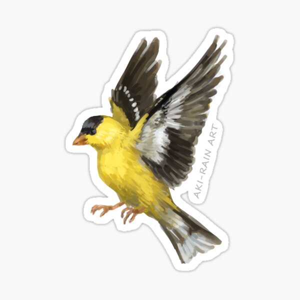"American Goldfinch" Sticker for Sale by akirainart | Redbubble