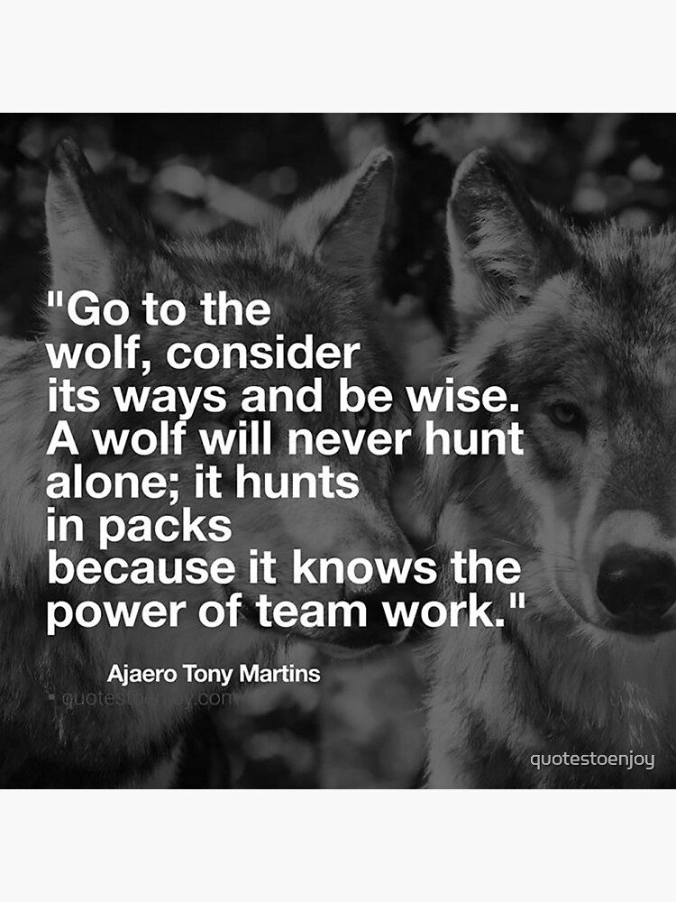 "Go to the wolf, consider its ways and be wise. A wolf will never hunt ...