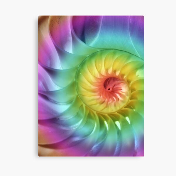 "nautilus shell cross section symmetry spiral Fibonacci sequence half ...