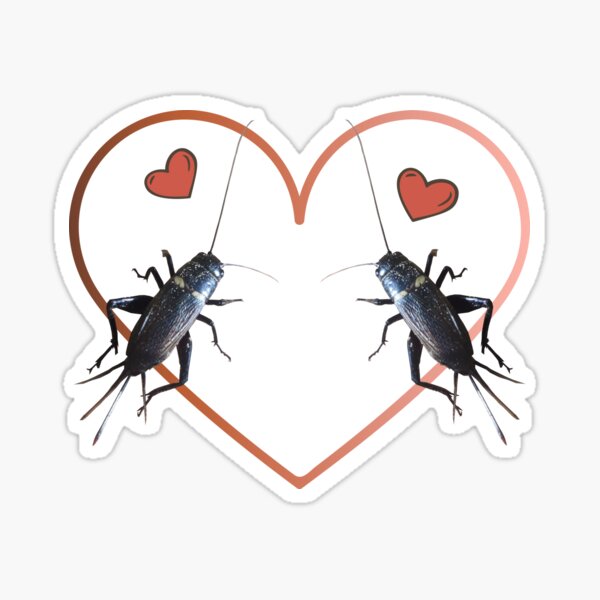 "Cockroaches scare girls cute memes" Sticker for Sale by abderachid ...
