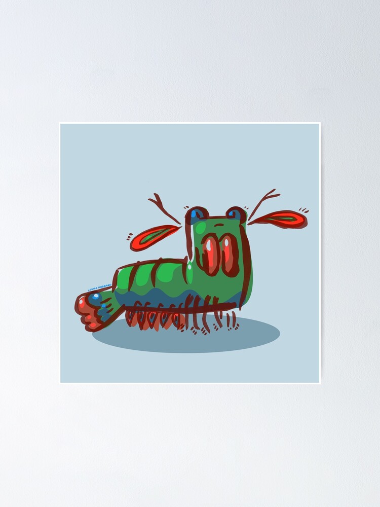 "Mantis Shrimp" Poster for Sale by Hubbardlouise | Redbubble