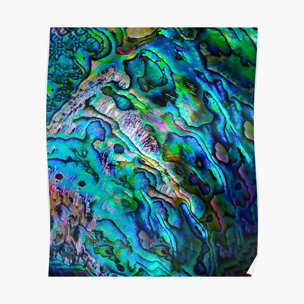 "Abstract Paua Abalone Shell Texture Pattern, Polished Paua Abalone ...