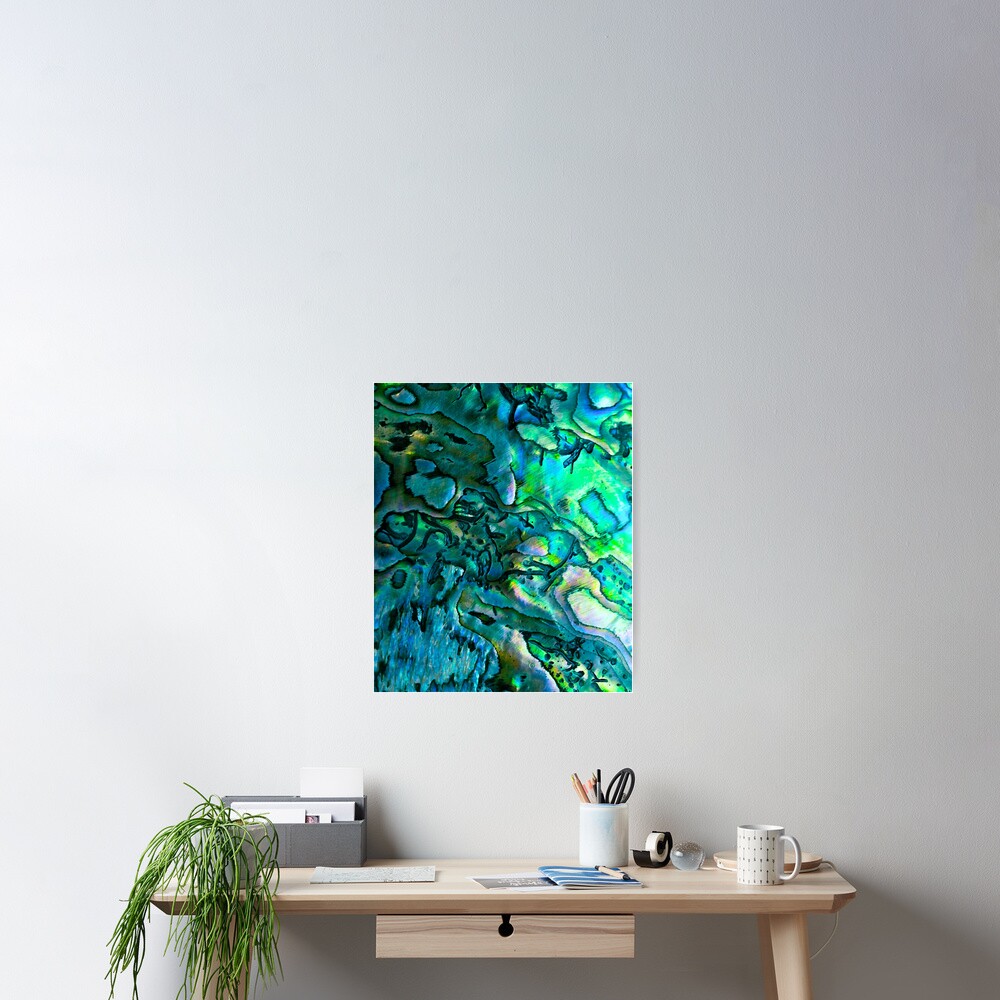 "Abstract Paua Abalone Shell Texture Pattern, Polished Paua Abalone ...