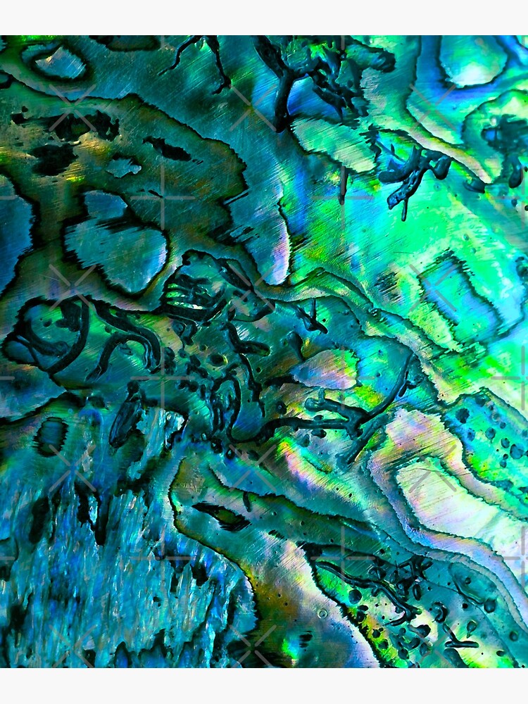 "Abstract Paua Abalone Shell Texture Pattern, Polished Paua Abalone ...
