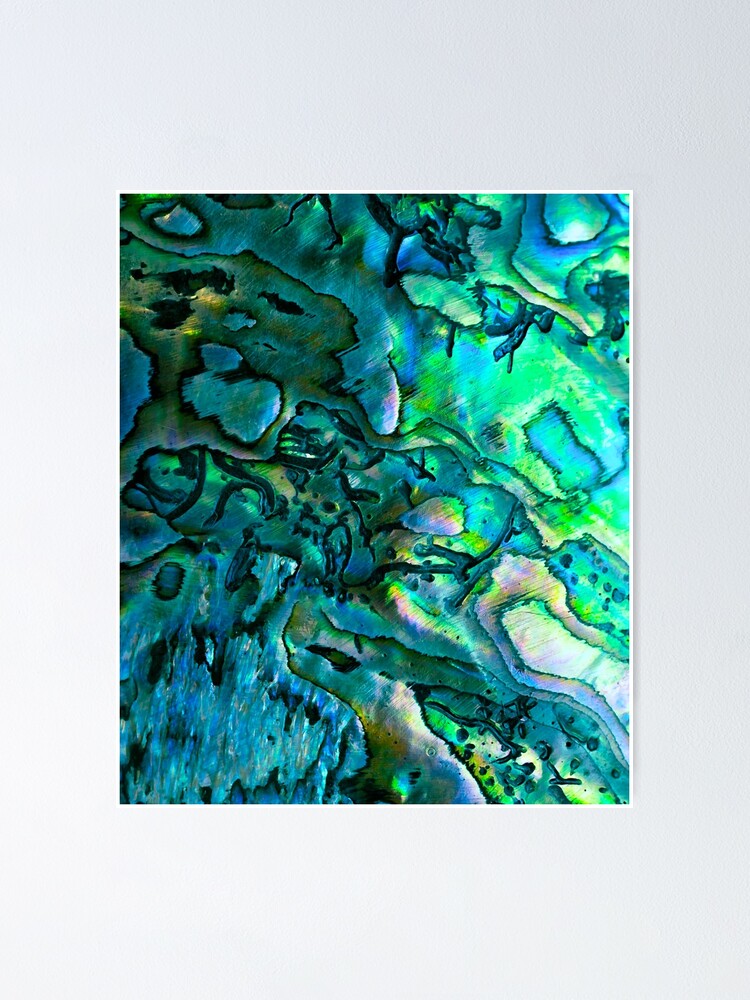 "Abstract Paua Abalone Shell Texture Pattern, Polished Paua Abalone ...