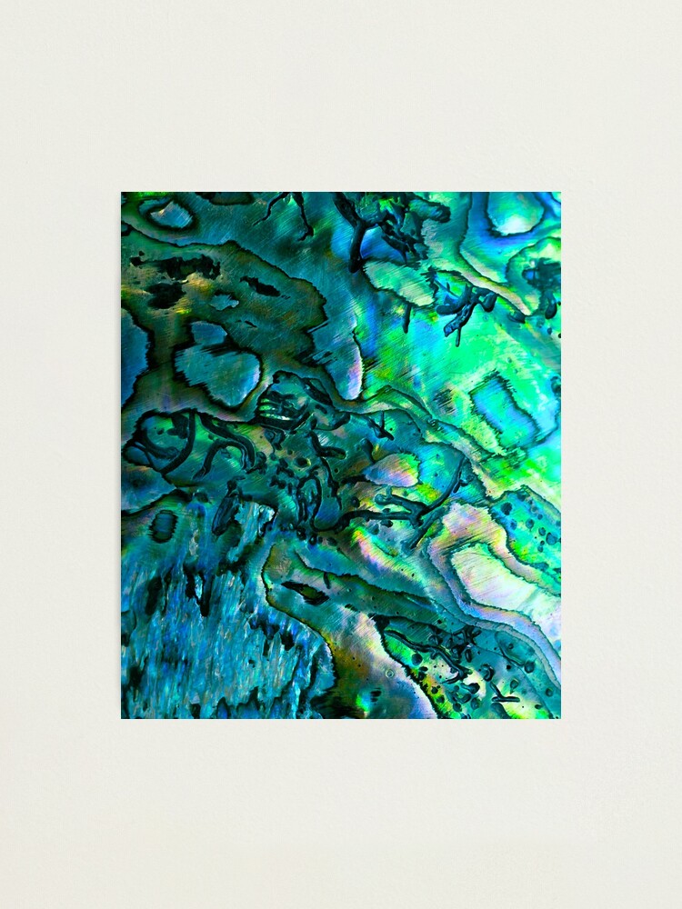 "Abstract Paua Abalone Shell Texture Pattern, Polished Paua Abalone ...