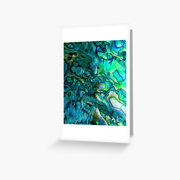 "Abstract Paua Abalone Shell Texture Pattern, Polished Paua Abalone ...