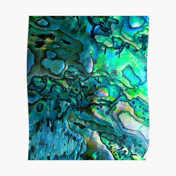 "Abstract Paua Abalone Shell Texture Pattern, Polished Paua Abalone ...