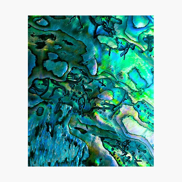 "Abstract Paua Abalone Shell Texture Pattern, Polished Paua Abalone ...