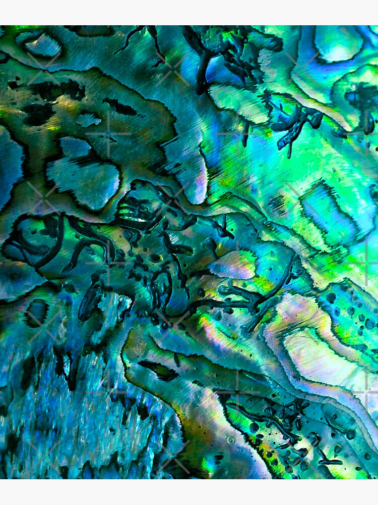 "Abstract Paua Abalone Shell Texture Pattern, Polished Paua Abalone ...