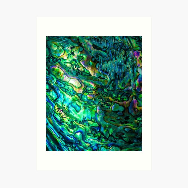 "Abstract Paua Abalone Shell Texture Pattern, Polished Paua Abalone ...