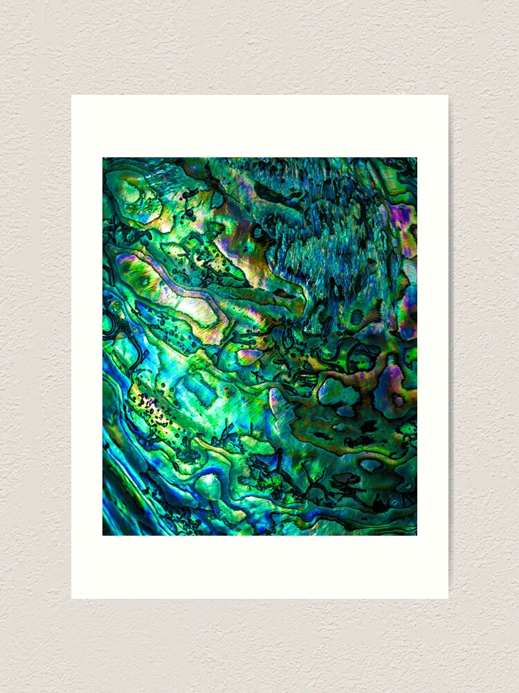 "Abstract Paua Abalone Shell Texture Pattern, Polished Paua Abalone ...