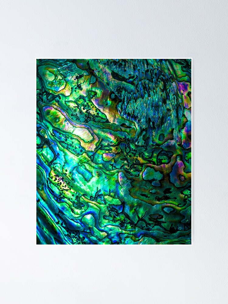 "Abstract Paua Abalone Shell Texture Pattern, Polished Paua Abalone ...