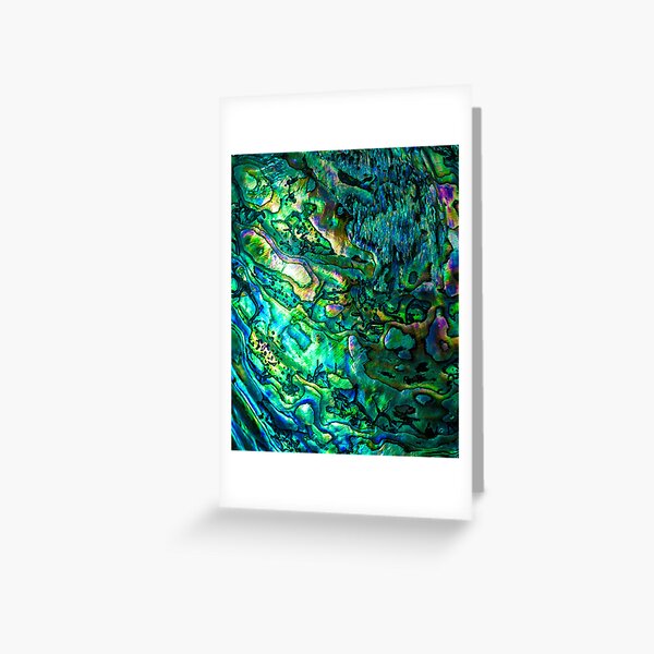 "Abstract Paua Abalone Shell Texture Pattern, Polished Paua Abalone ...