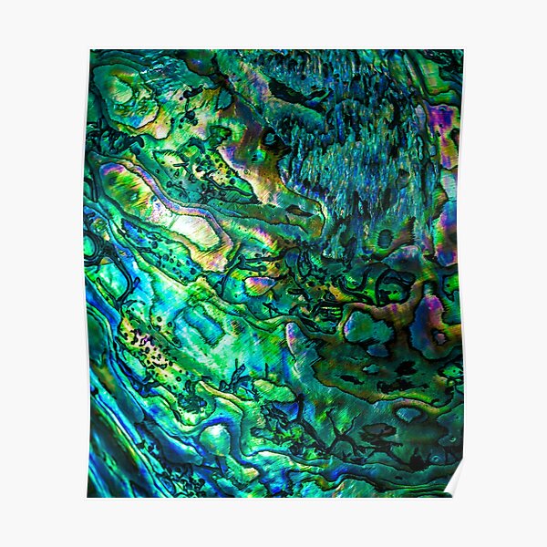 "Abstract Paua Abalone Shell Texture Pattern, Polished Paua Abalone ...
