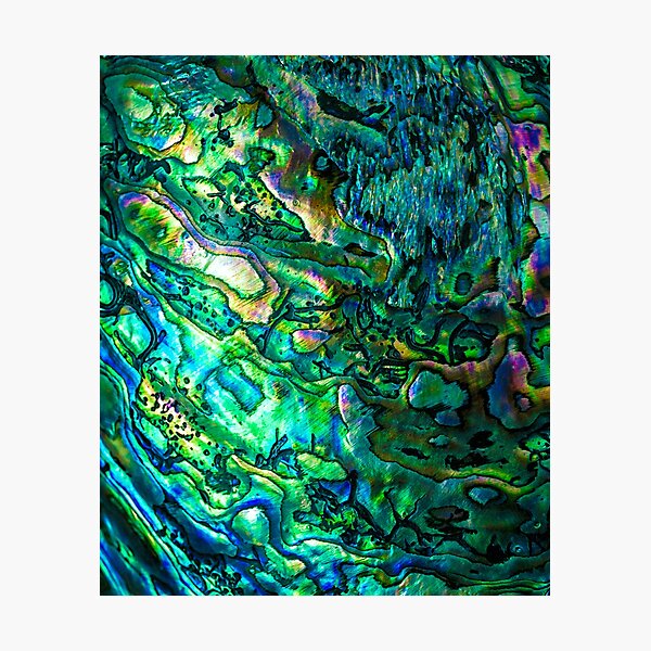 "Abstract Paua Abalone Shell Texture Pattern, Polished Paua Abalone ...