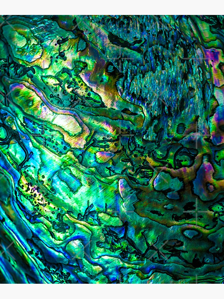 "Abstract Paua Abalone Shell Texture Pattern, Polished Paua Abalone ...