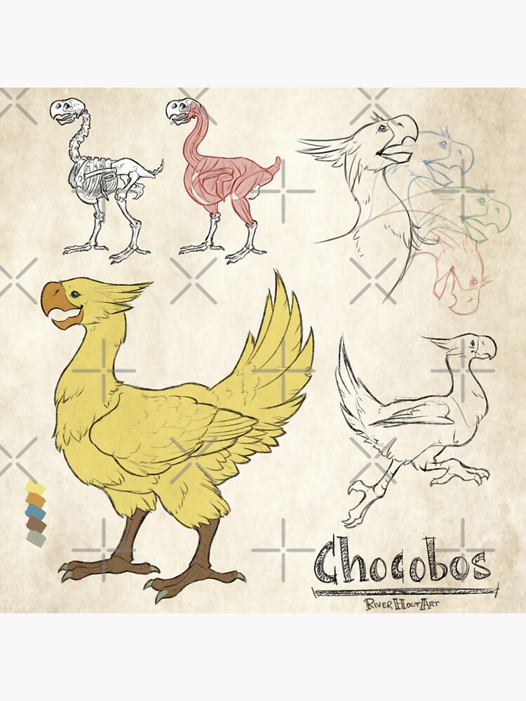 "Chocobo anatomy" Sticker for Sale by RiverHoltArt | Redbubble