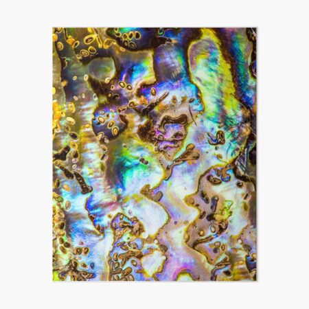 "Abstract Paua Abalone Shell Texture Pattern, Polished Paua Abalone ...