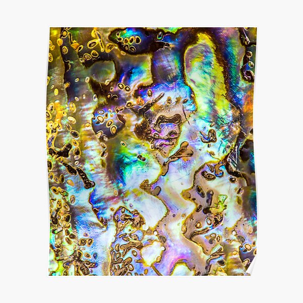 "Abstract Paua Abalone Shell Texture Pattern, Polished Paua Abalone ...