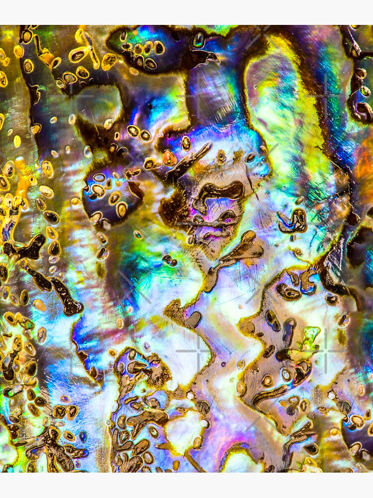 "Abstract Paua Abalone Shell Texture Pattern, Polished Paua Abalone ...