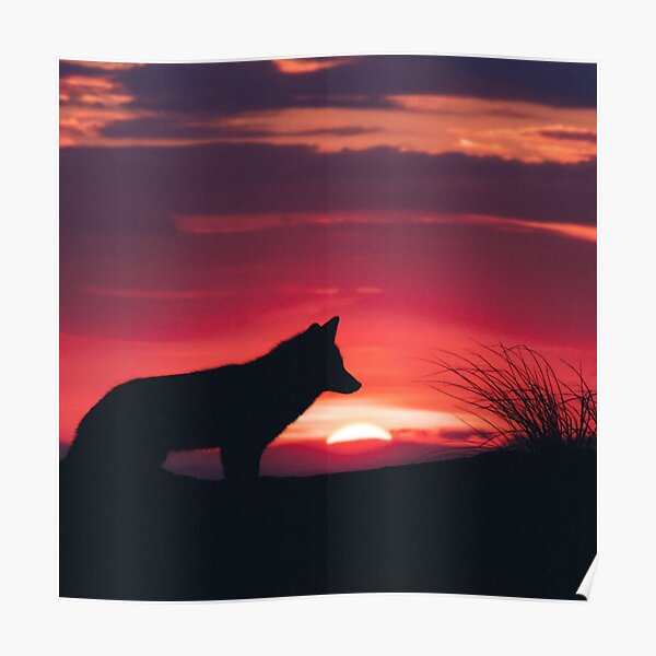 "Wolf Art, Strong Wolf Design, New Trendy Wolf-" Poster for Sale by ...