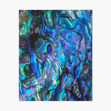 "Abstract Paua Abalone Shell Texture Pattern, Polished Paua Abalone ...