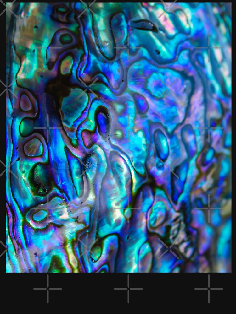 "Abstract Paua Abalone Shell Texture Pattern, Polished Paua Abalone ...