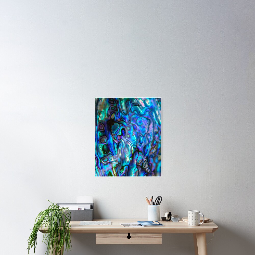 "Abstract Paua Abalone Shell Texture Pattern, Polished Paua Abalone ...