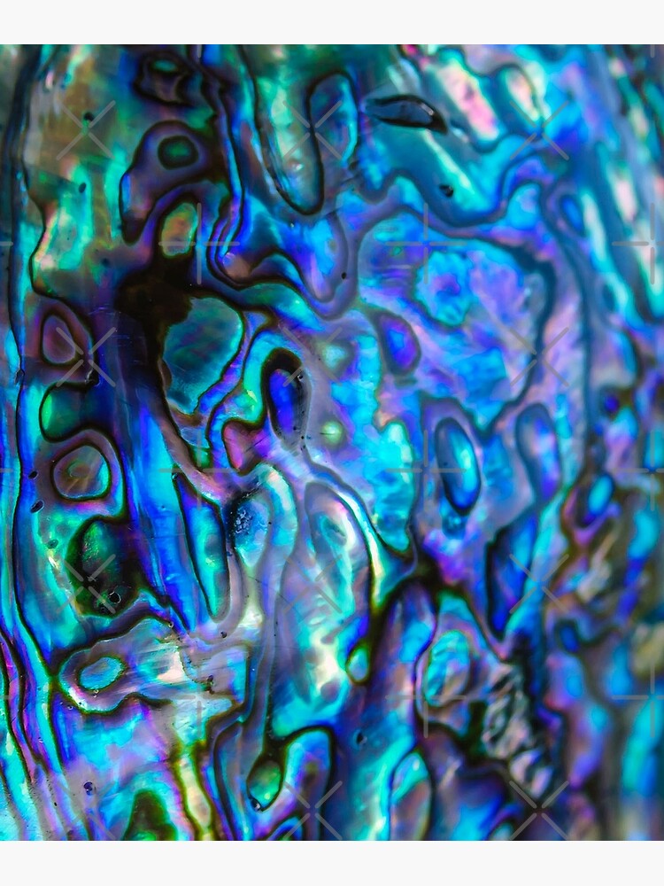 "Abstract Paua Abalone Shell Texture Pattern, Polished Paua Abalone ...