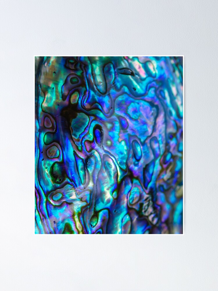 "Abstract Paua Abalone Shell Texture Pattern, Polished Paua Abalone ...