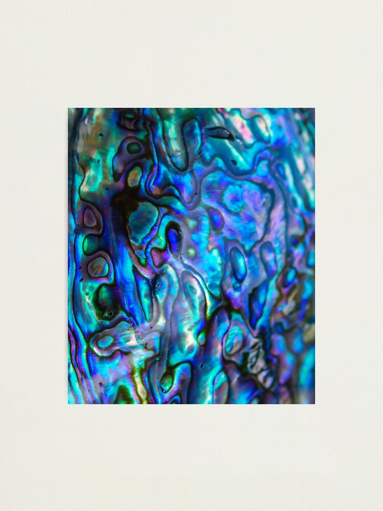 "Abstract Paua Abalone Shell Texture Pattern, Polished Paua Abalone ...