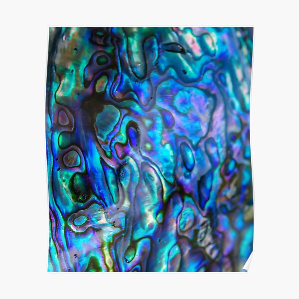 "Abstract Paua Abalone Shell Texture Pattern, Polished Paua Abalone ...