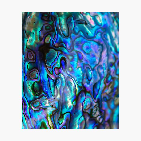 "Abstract Paua Abalone Shell Texture Pattern, Polished Paua Abalone ...