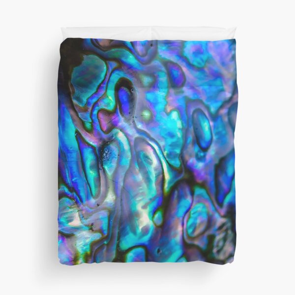 "Abstract Paua Abalone Shell Texture Pattern, Polished Paua Abalone ...